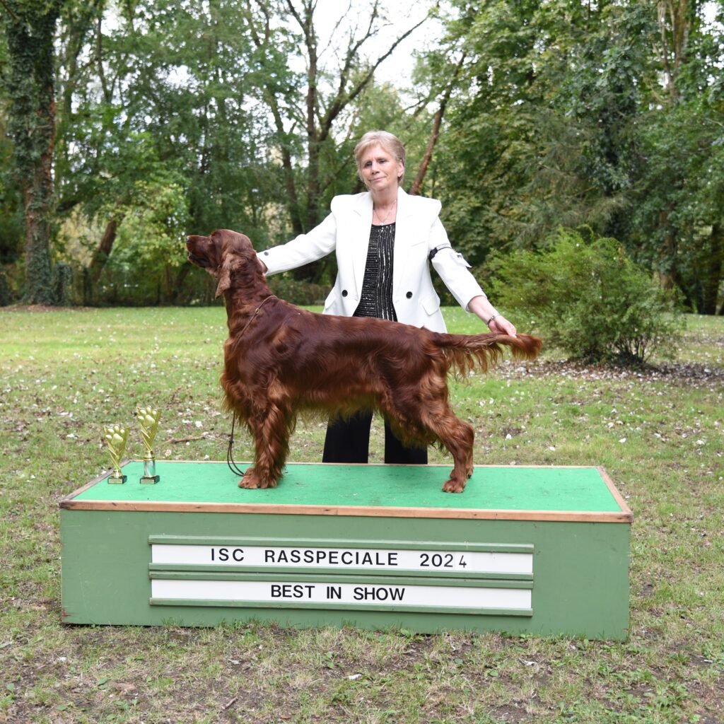 Rasspeciale 07/09/2025 - Ierse Setter Club